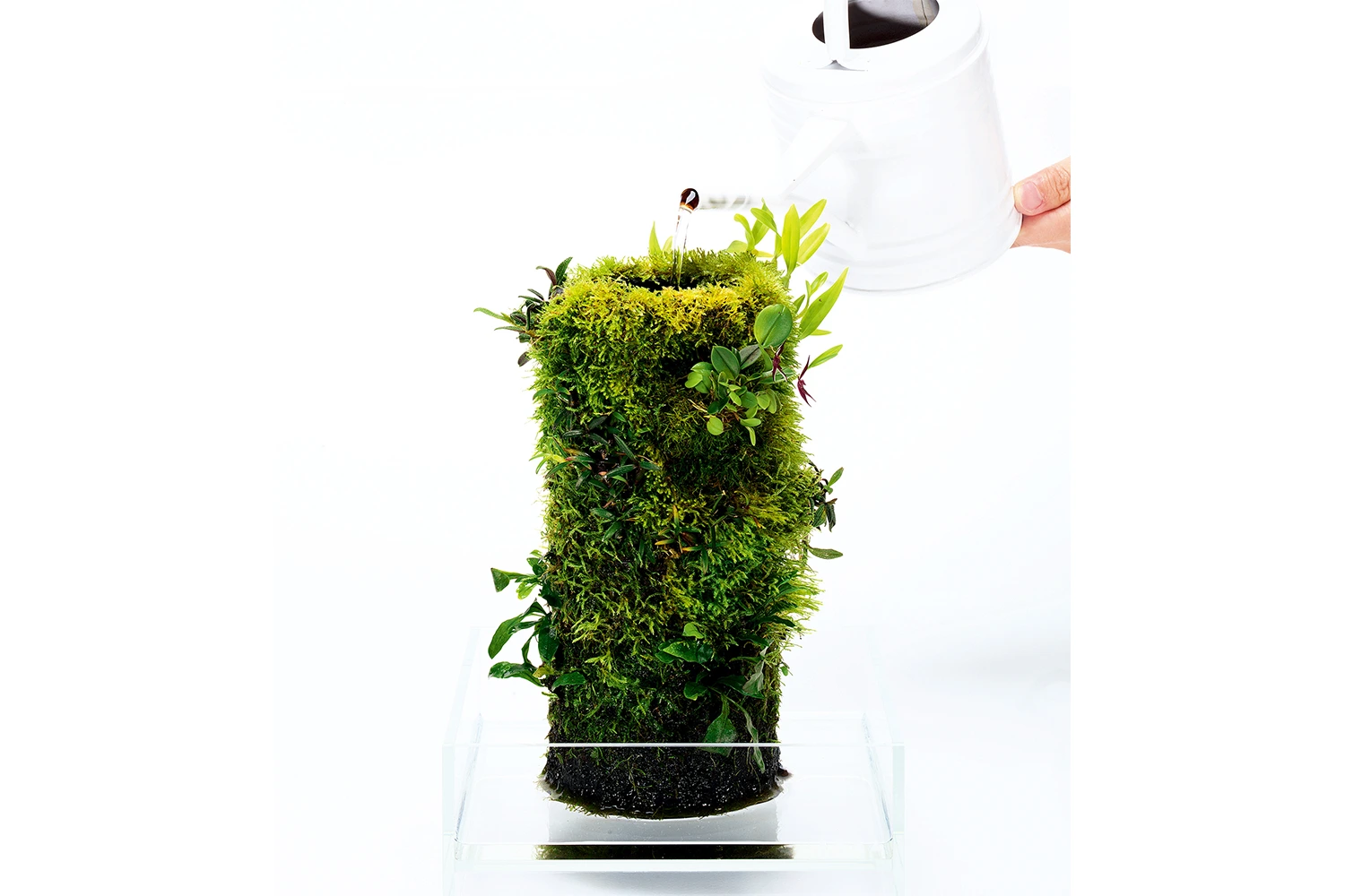 Terra Base – Nature Desire