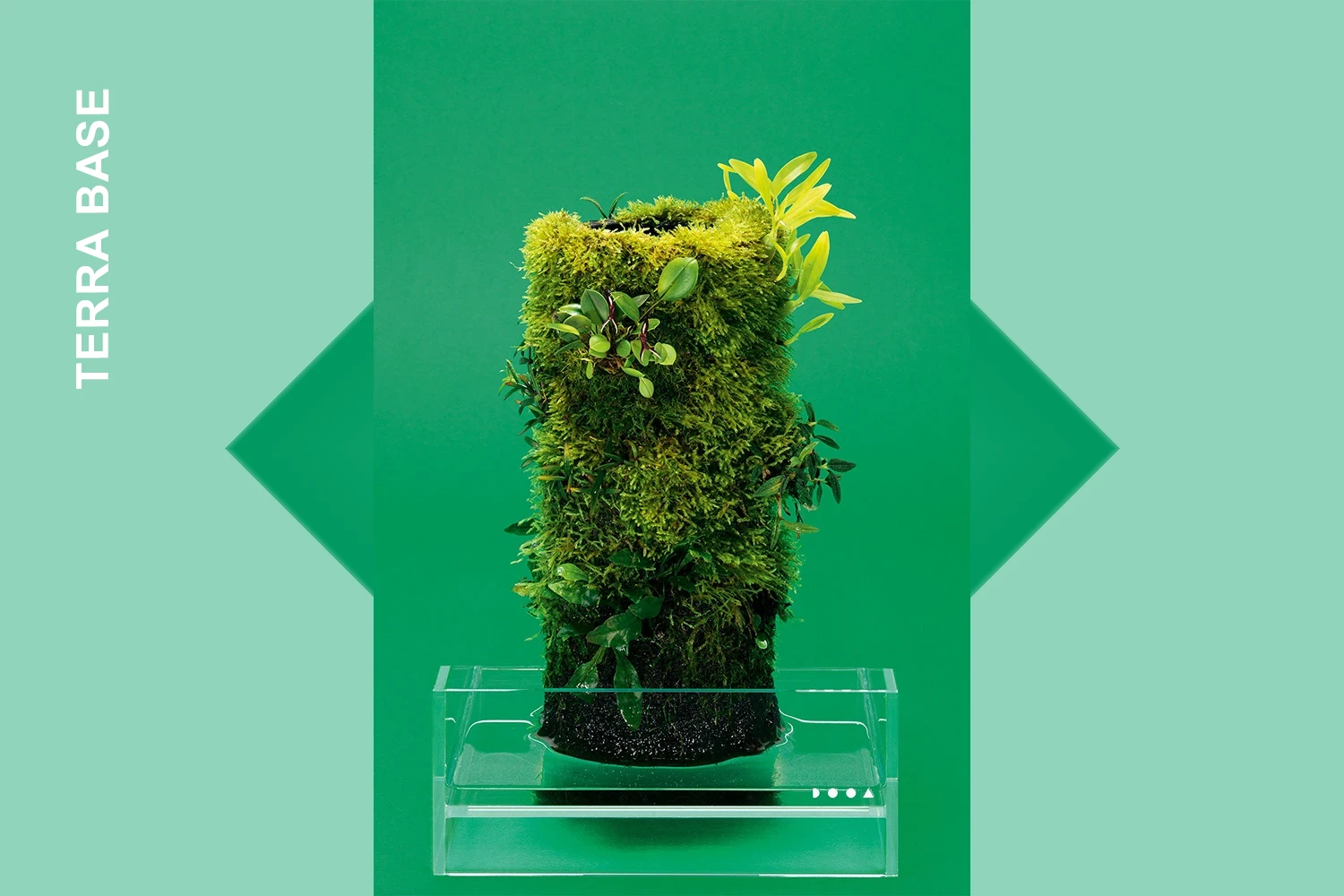 Terra Base – Nature Desire